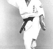 What is Uechi-Ryu Karate? | Uechi-ryu Martial Arts
